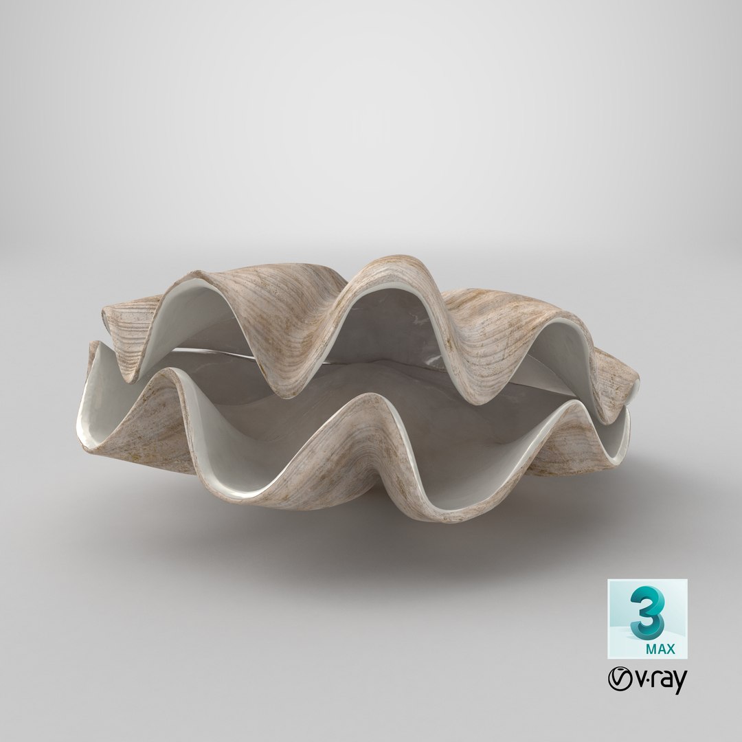 3D Clam-shells---shell-03 Model - TurboSquid 1156154