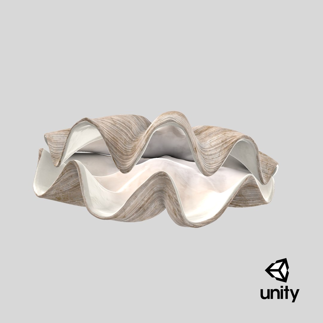 3D Clam-shells---shell-03 Model - TurboSquid 1156154