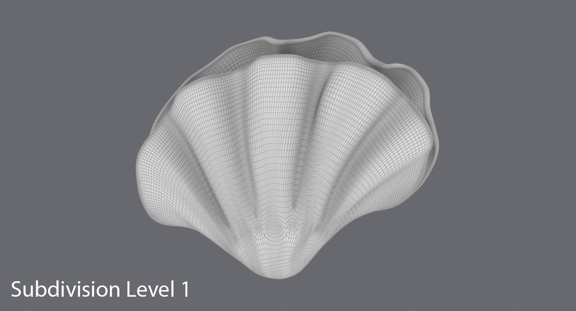 3D Clam-shells---shell-03 Model - TurboSquid 1156154