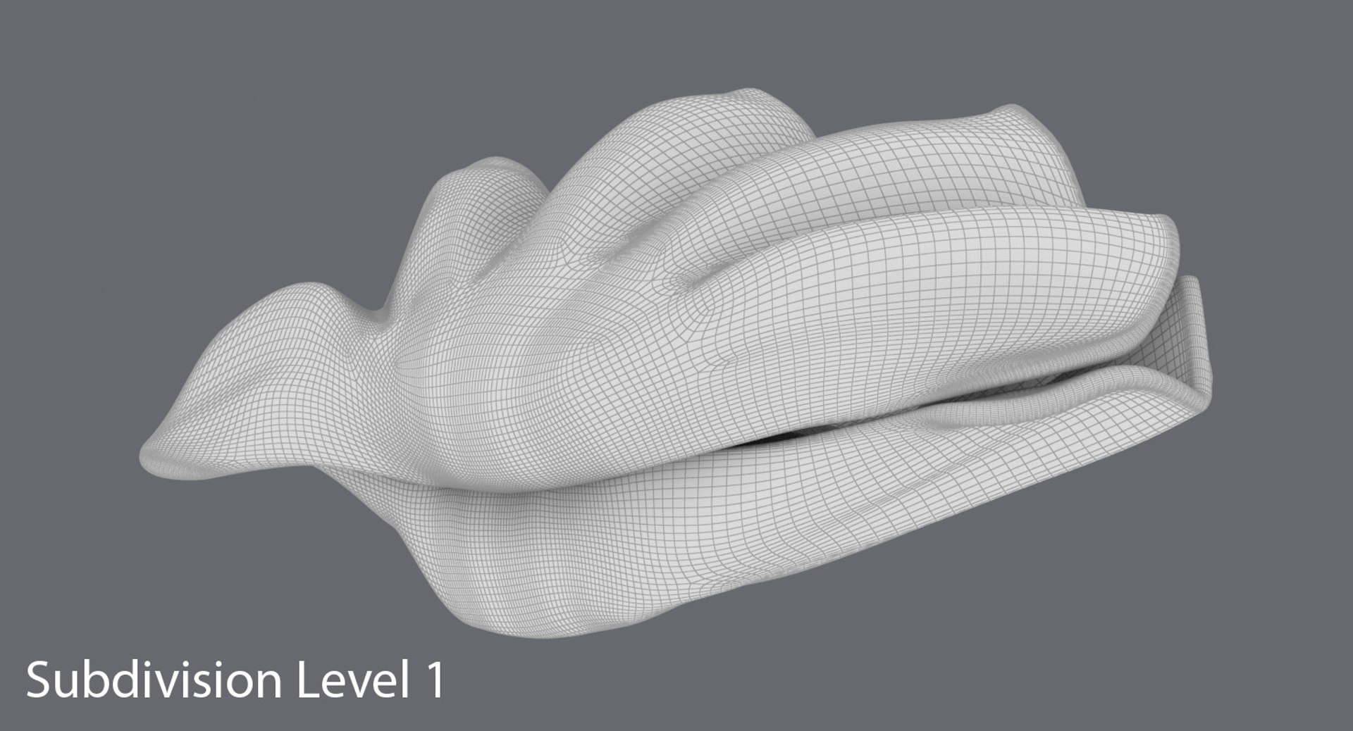 3D Clam-shells---shell-03 Model - TurboSquid 1156154