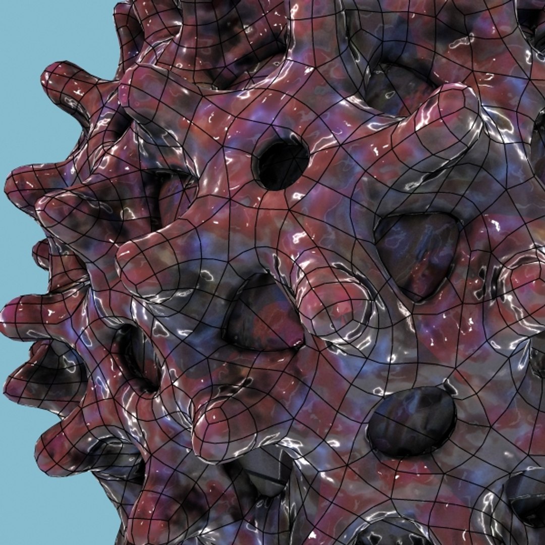 Hepatitis B Virus 3d Model