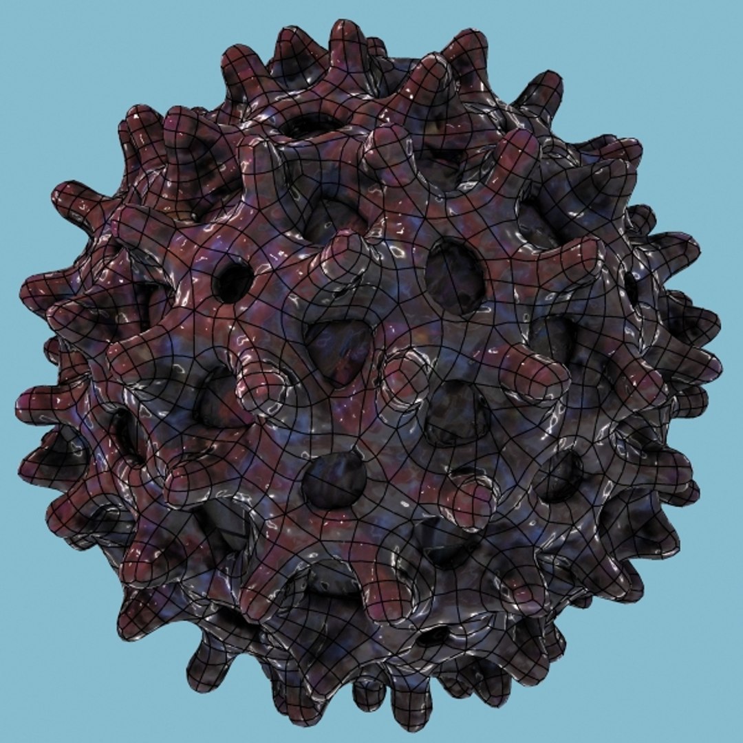 Hepatitis B Virus 3d Model