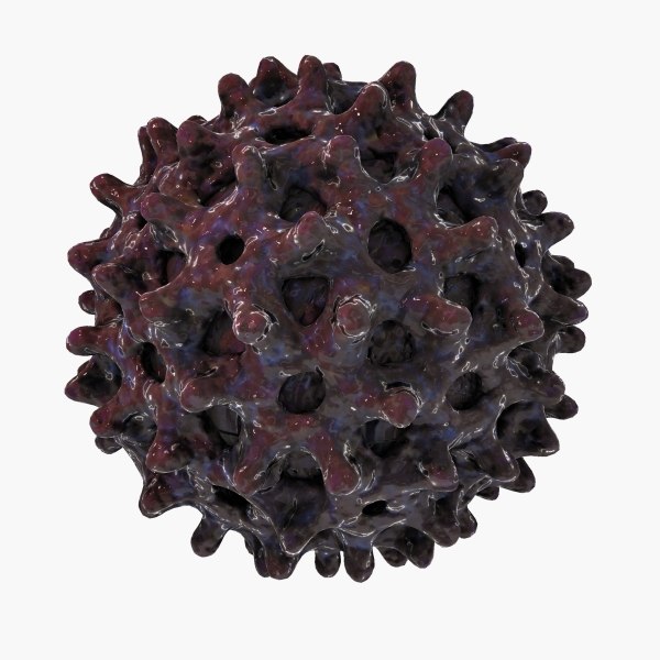 hepatitis b virus 3d model