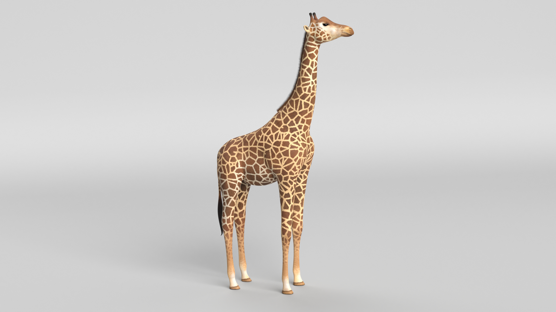 3D Giraffe Pbr Model - TurboSquid 1557815
