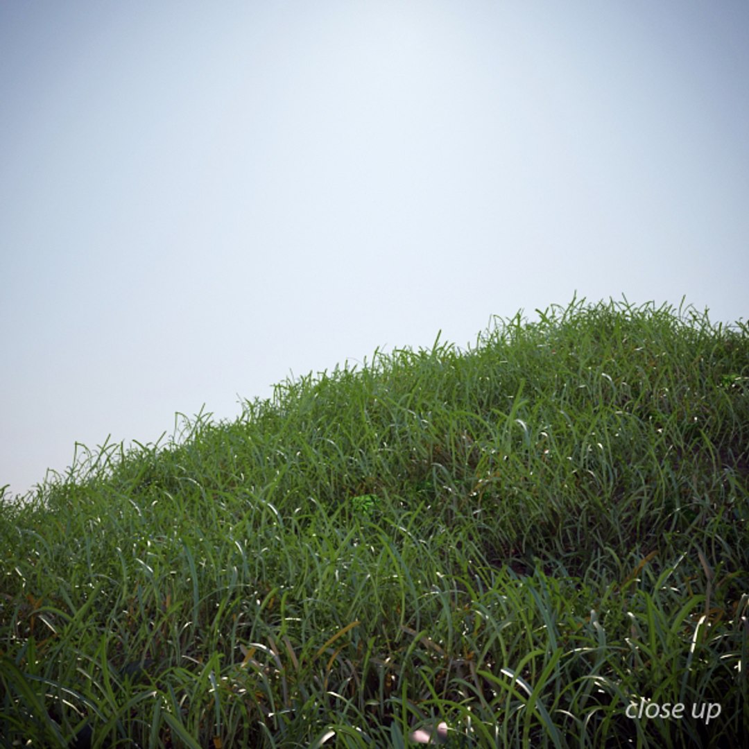 3d Realistic Grass