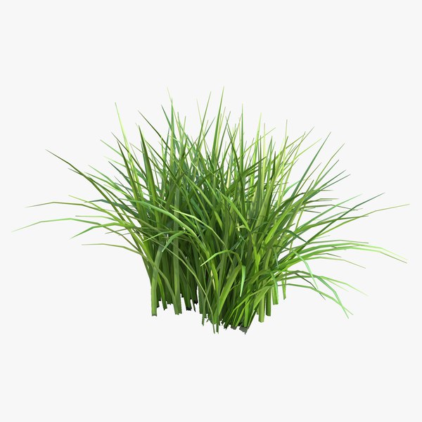 grass set field 3d model
