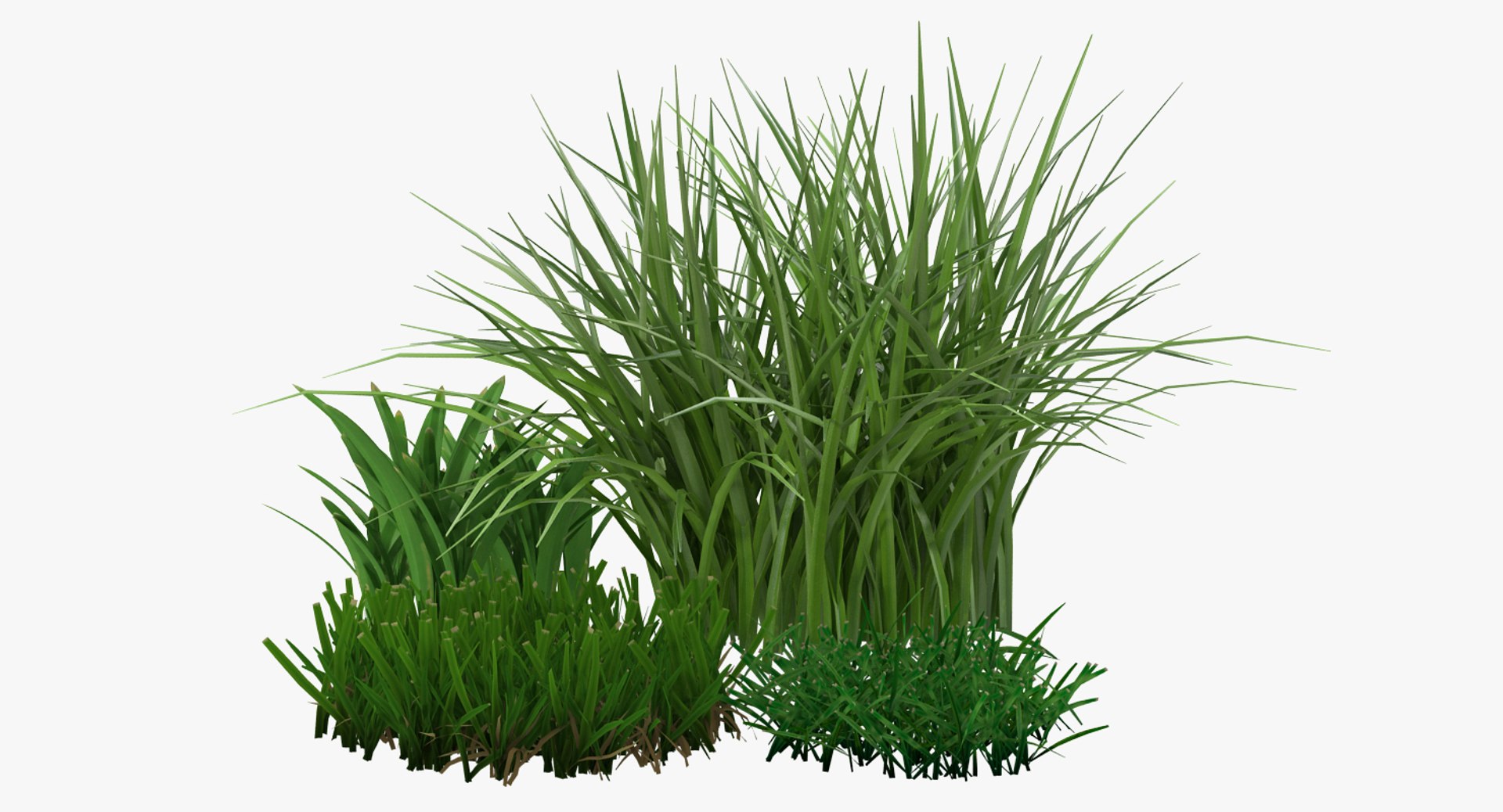 Grass Set Field 3d Model