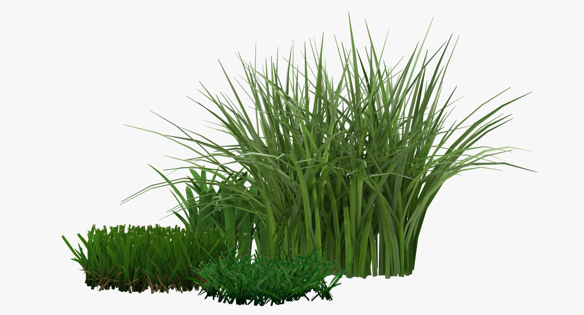 Grass Set Field 3d Model