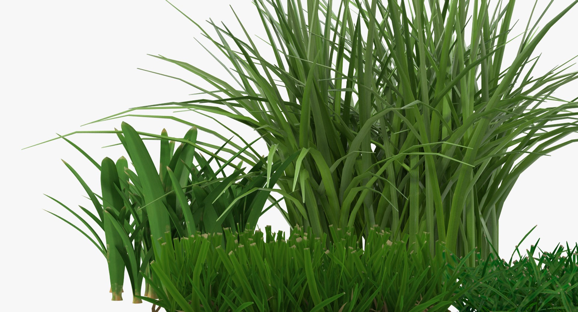 Grass Set Field 3d Model