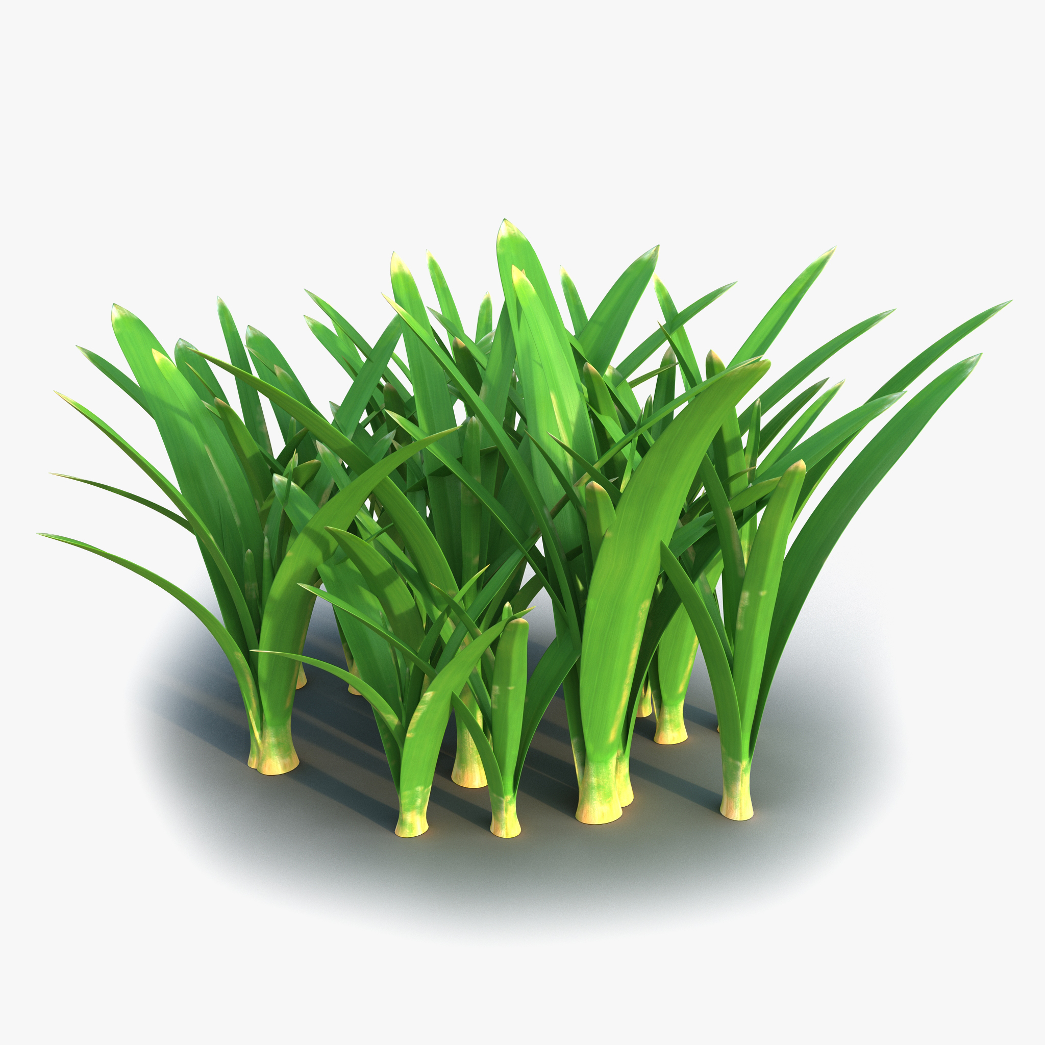 grass set field 3d model