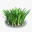 Grass Set Field 3d Model
