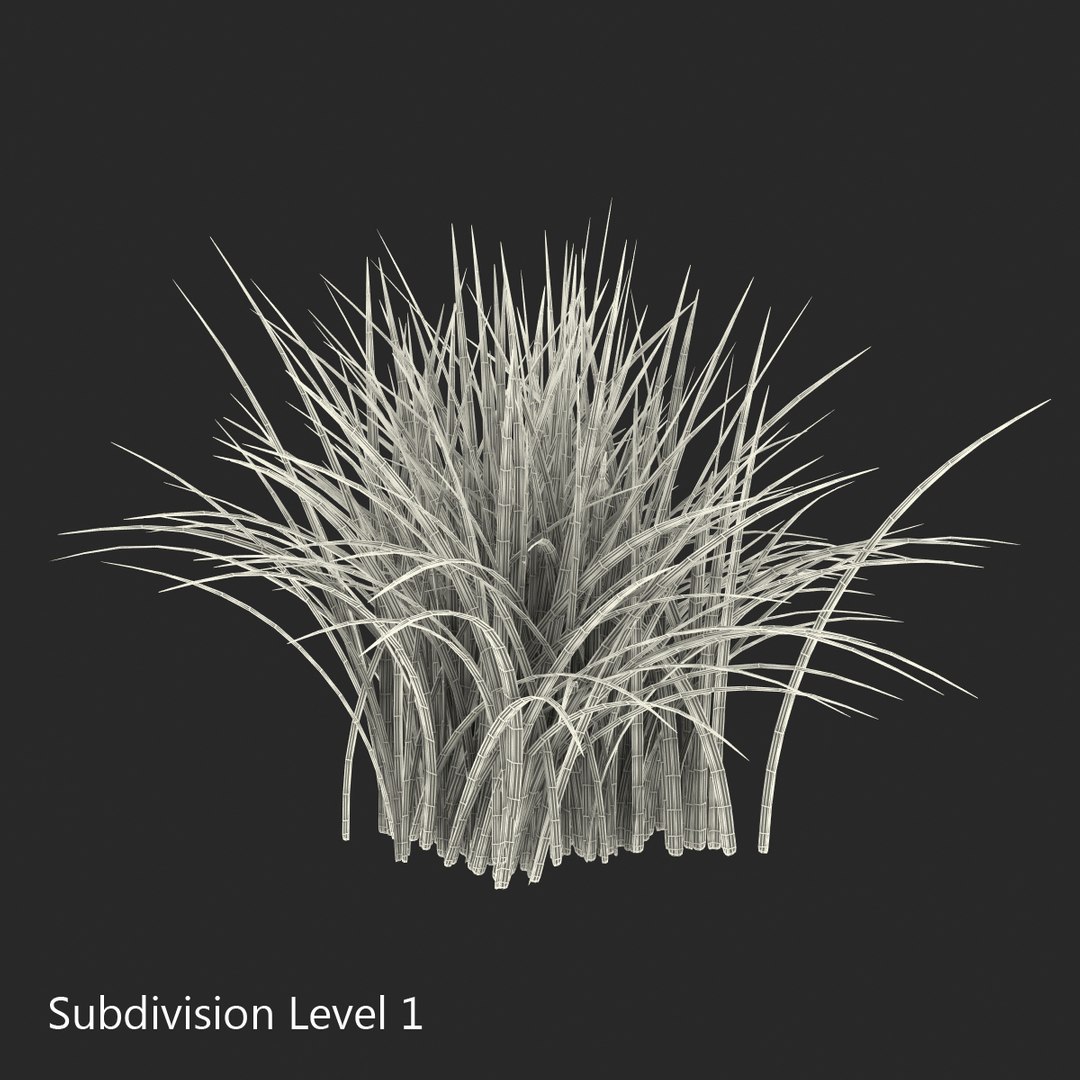 Grass Set Field 3d Model
