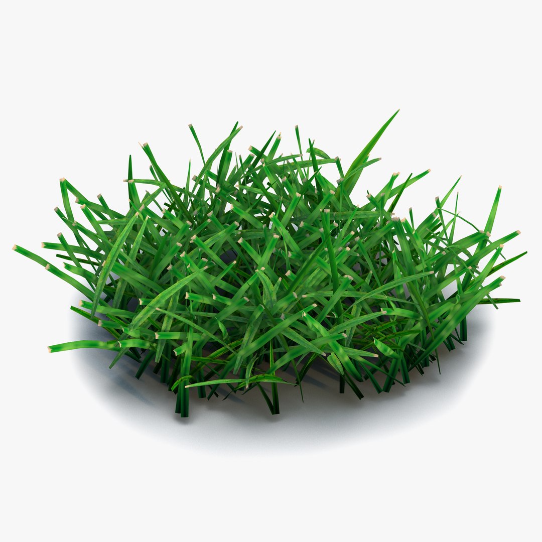Grass Set Field 3d Model