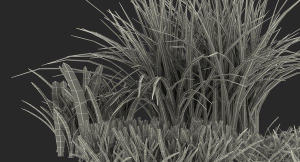 grass set field 3d model