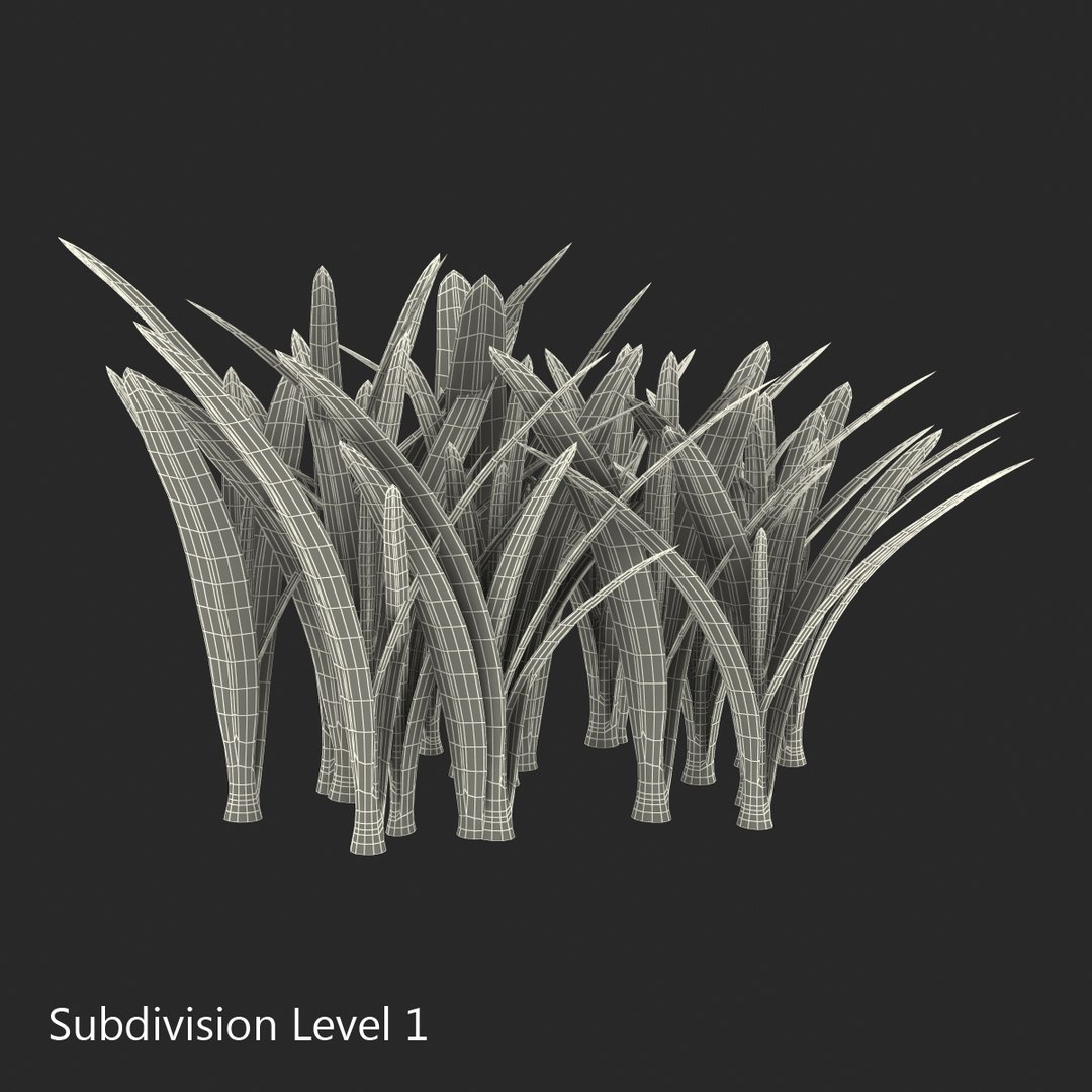 grass set field 3d model