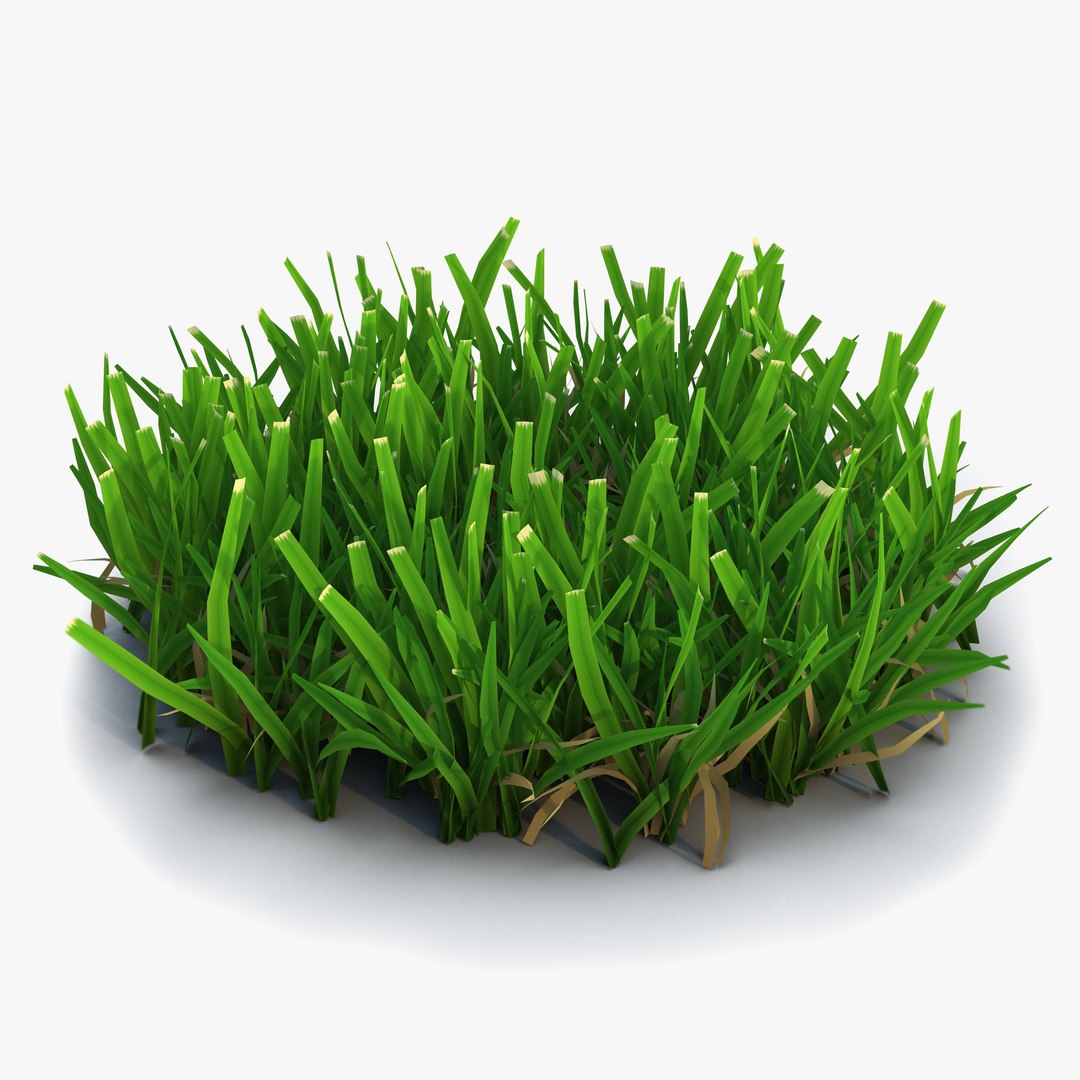 Grass Set Field 3d Model