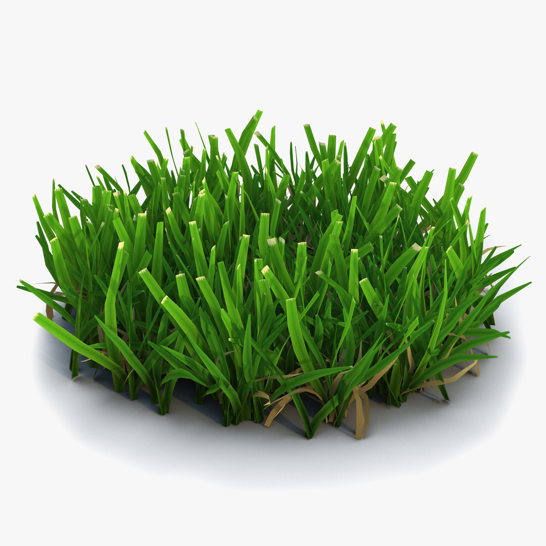 grass set field 3d model
