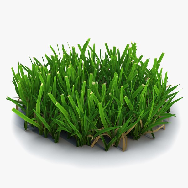 grass set field 3d model