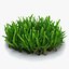 Grass Set Field 3d Model