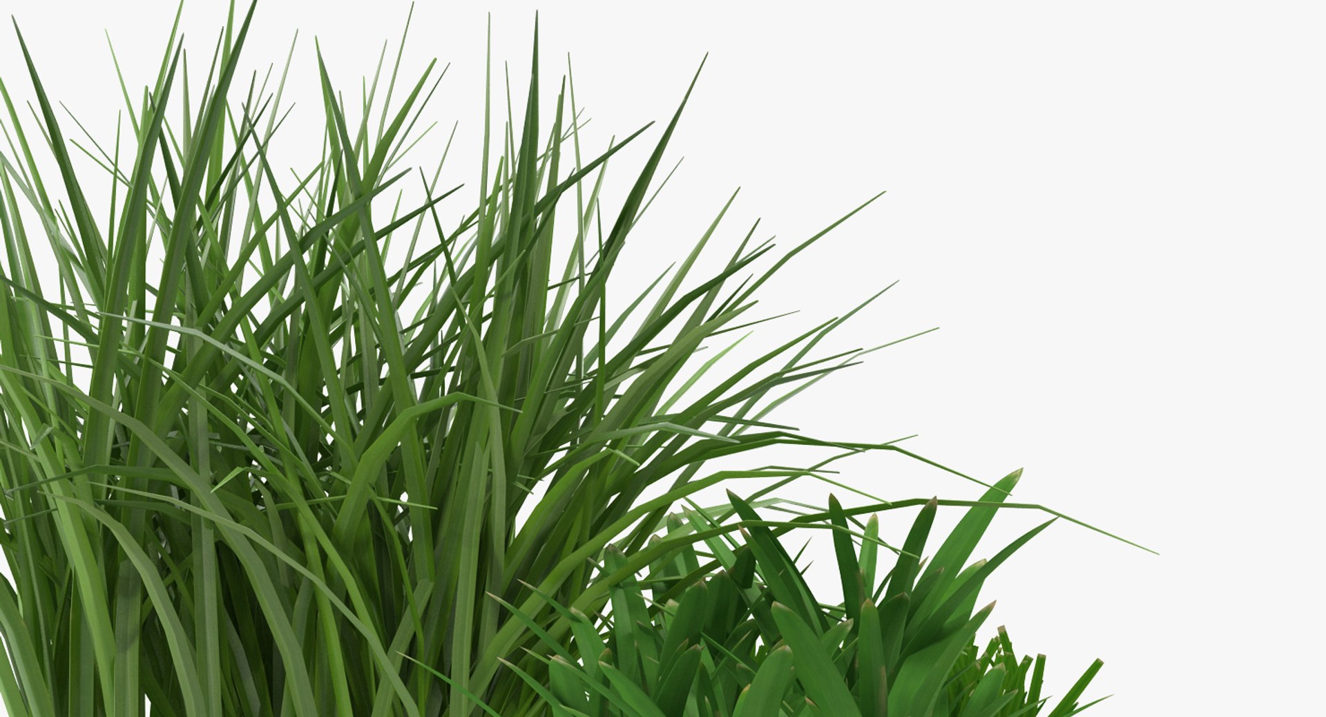 Grass Set Field 3d Model