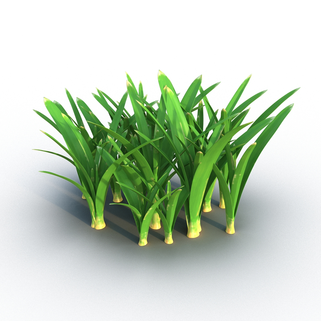 Grass Set Field 3d Model