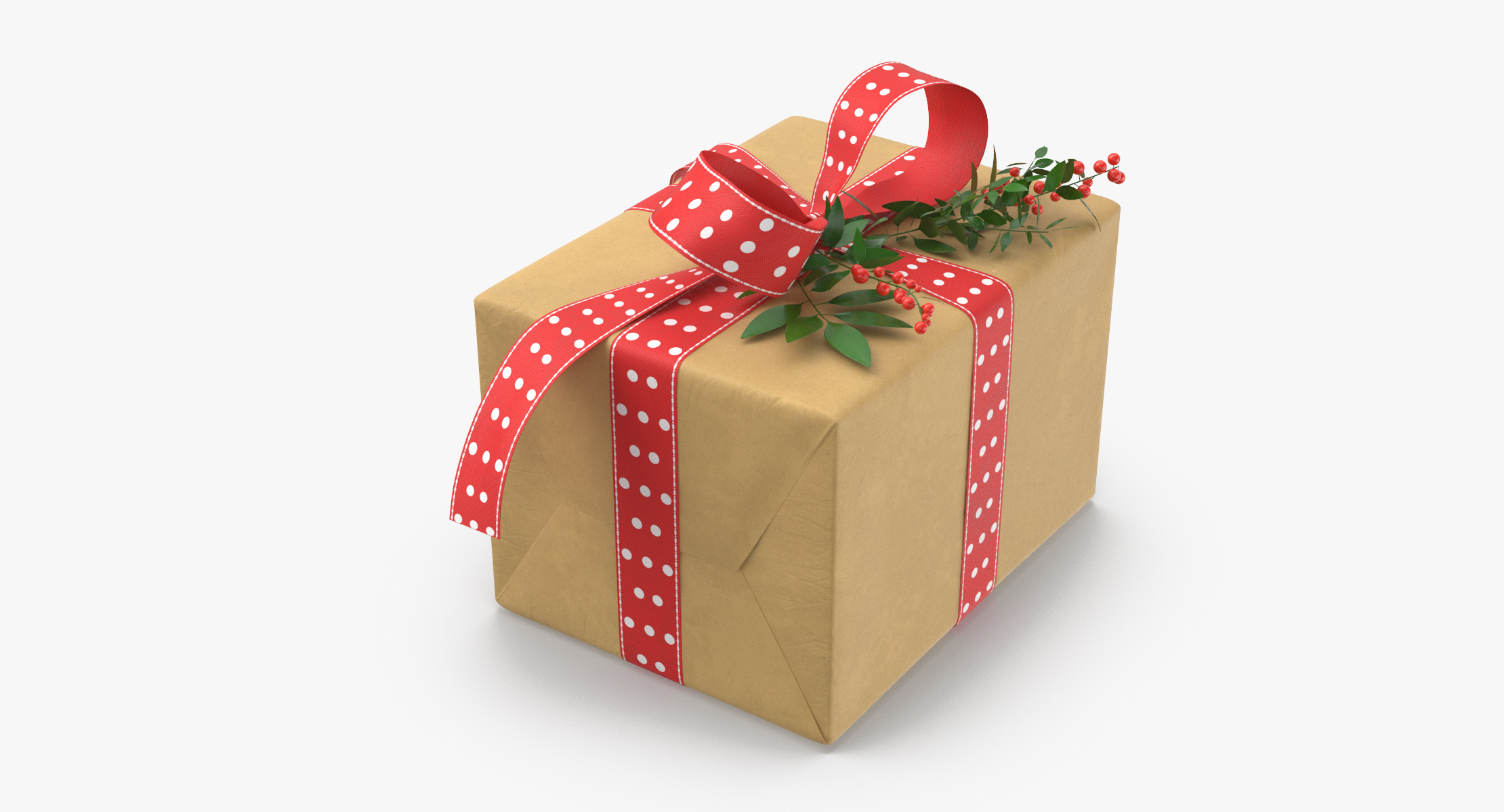 christmas present 01 max