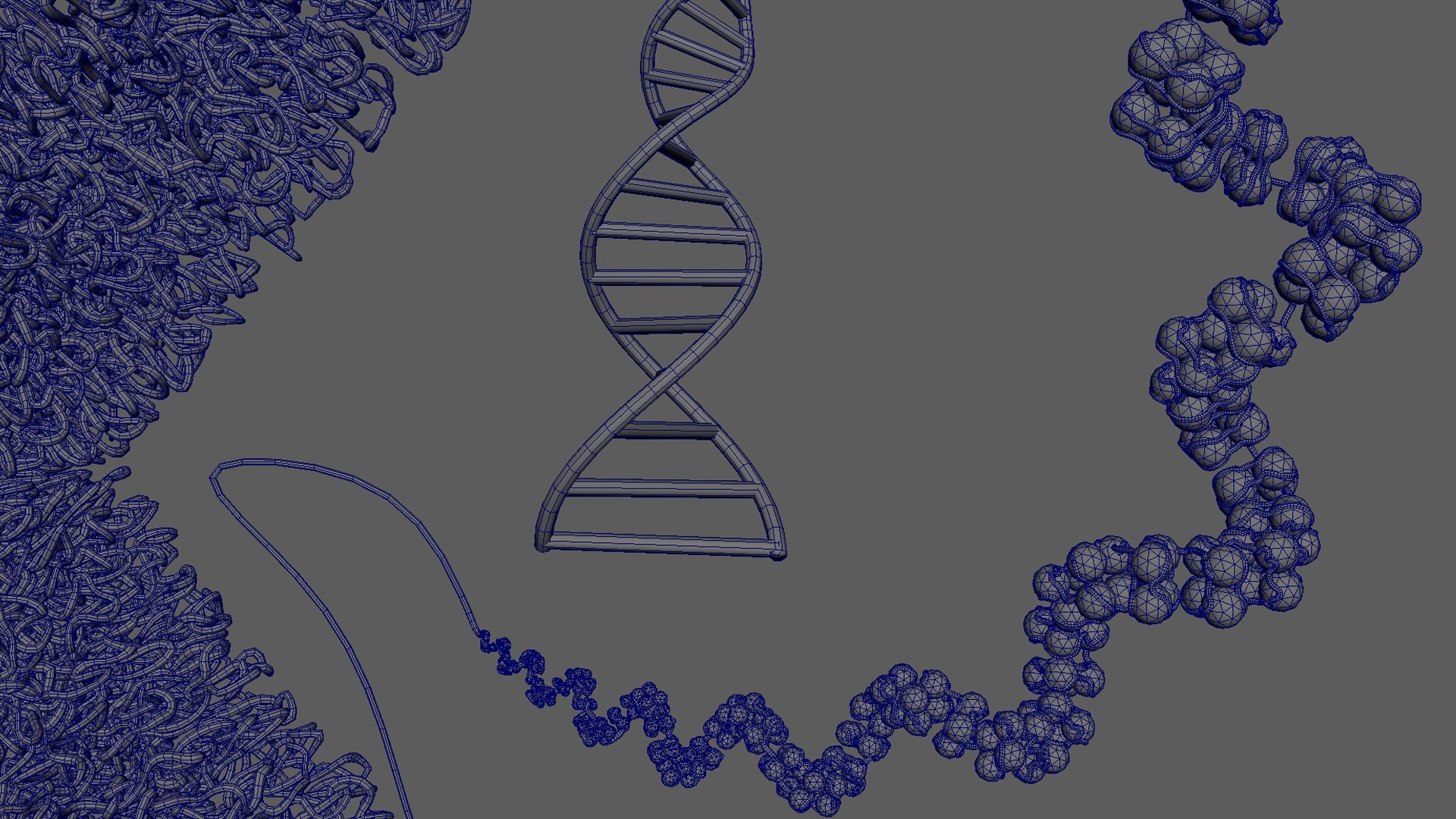 3D Chromosome Chromatin Model - TurboSquid 2233643