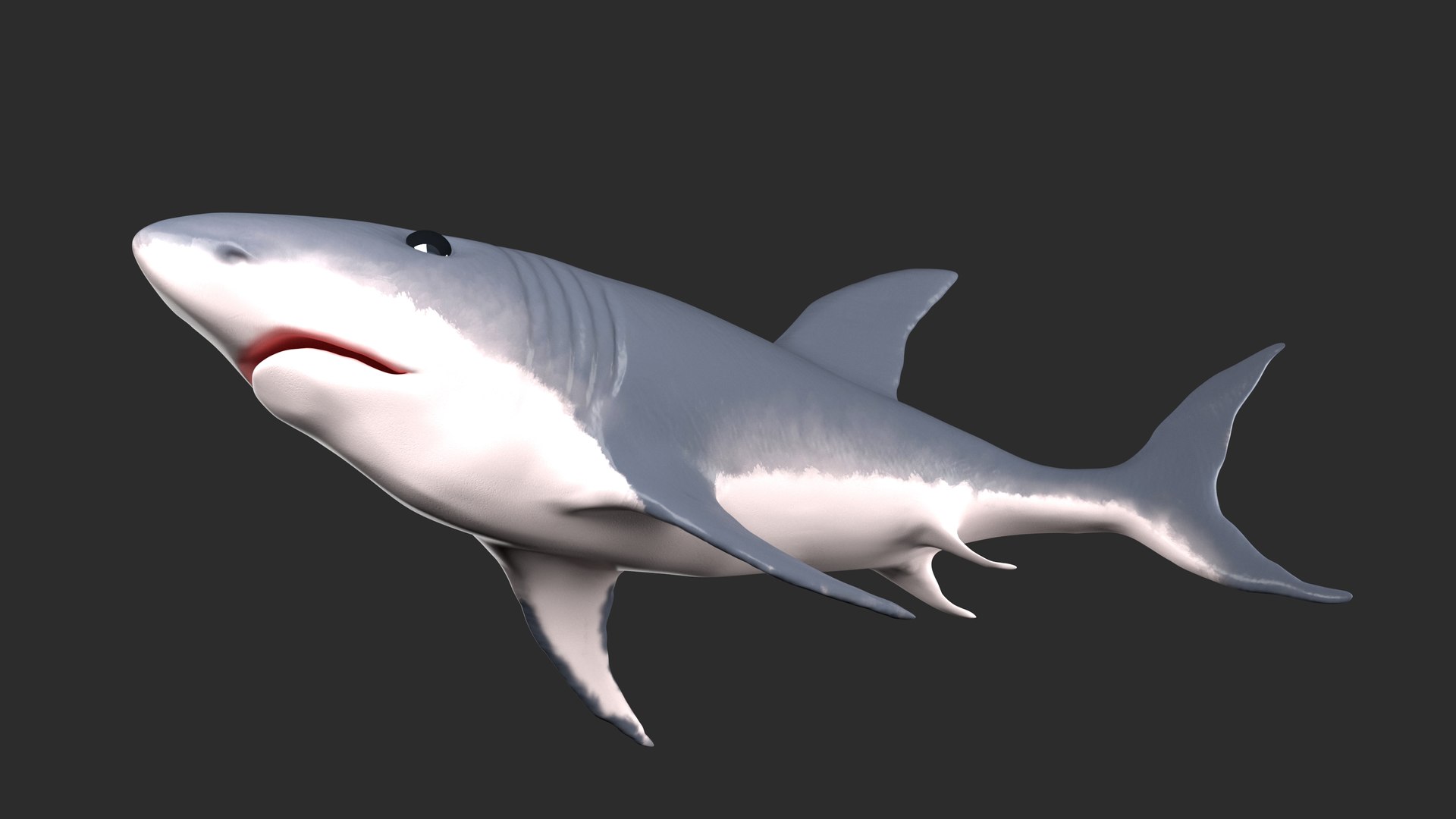 3D Toothless Shark Model - TurboSquid 1609603