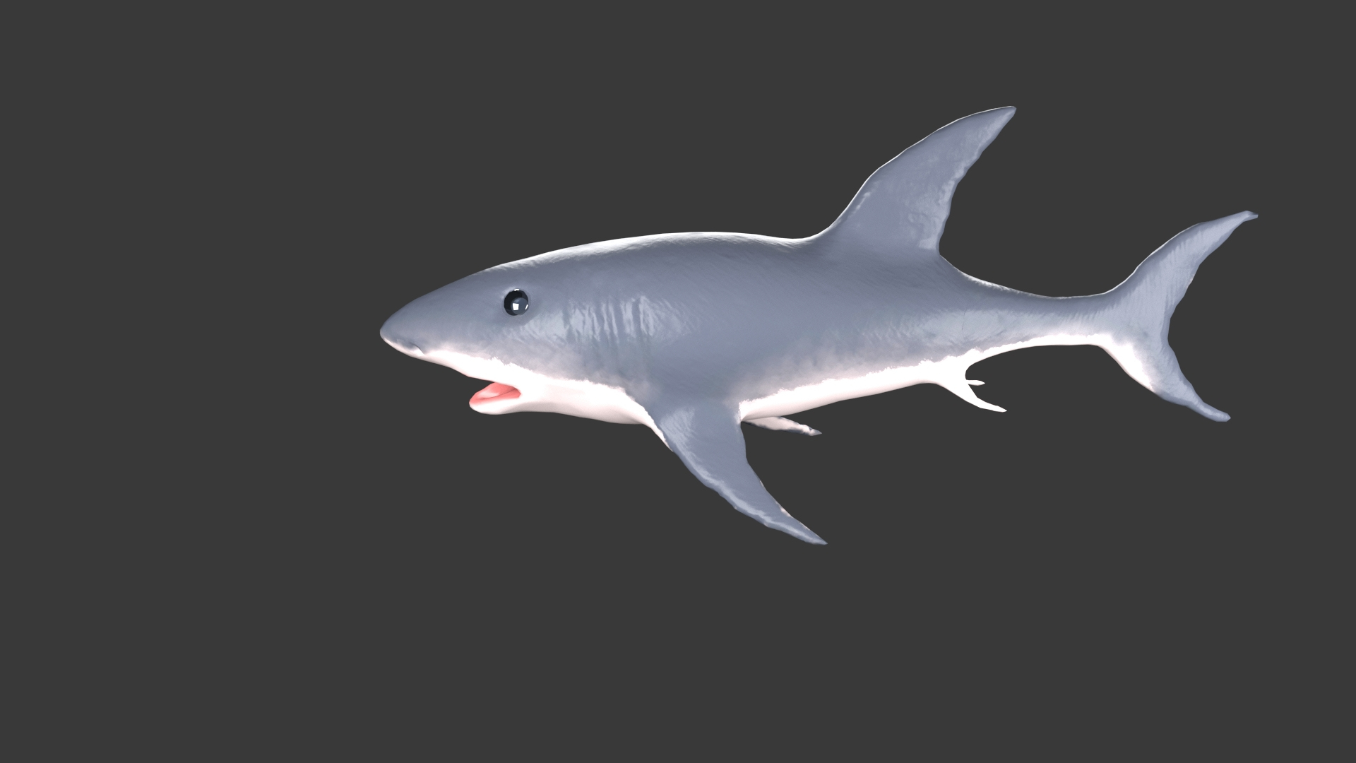 3D Toothless Shark Model - TurboSquid 1609603