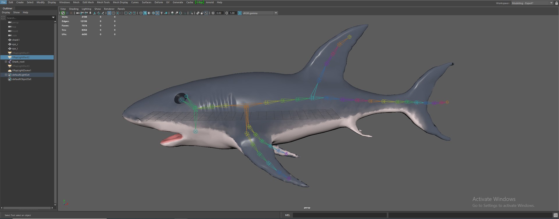 3D Toothless Shark Model - TurboSquid 1609603
