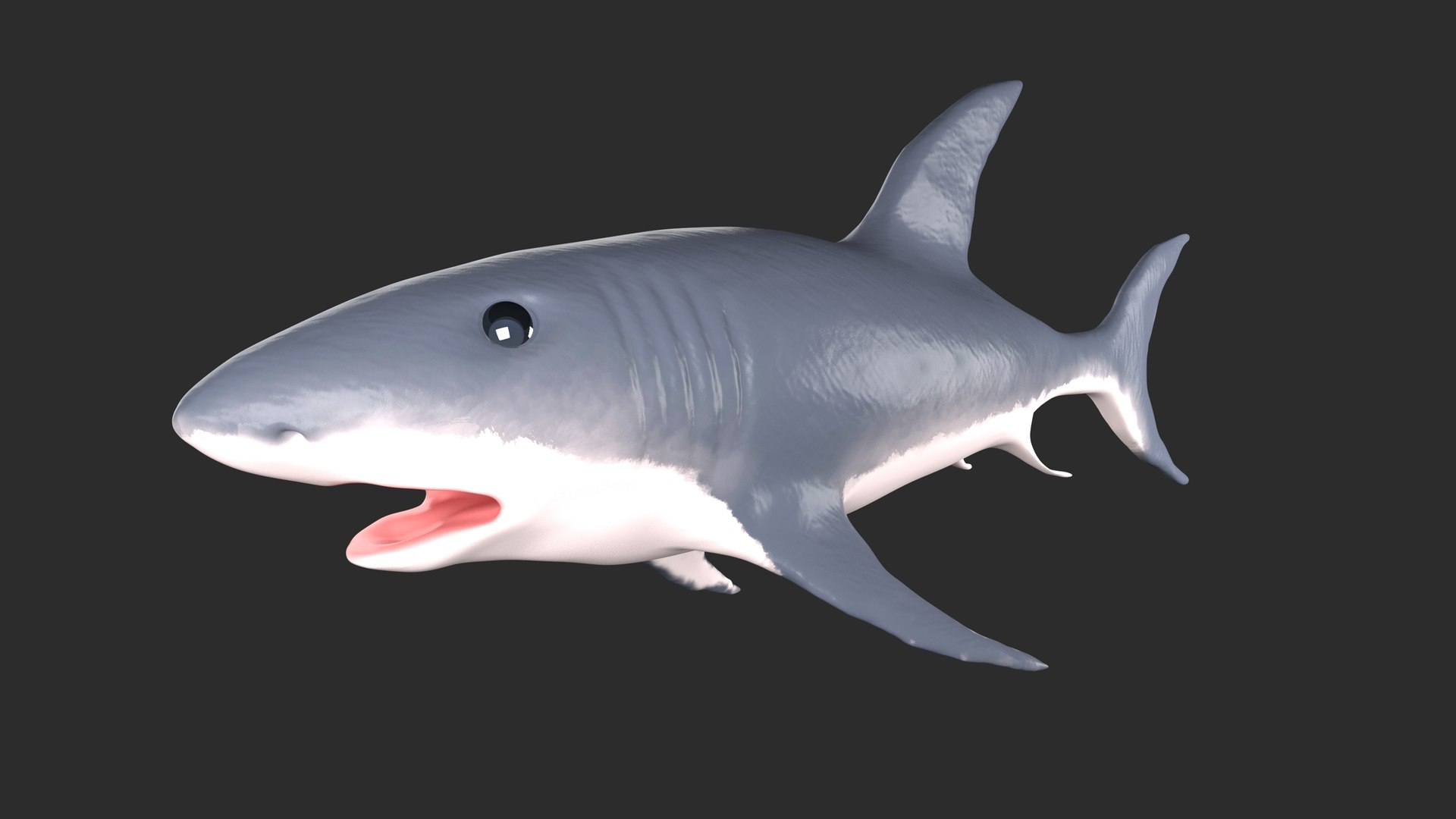 3D Toothless Shark Model - TurboSquid 1609603