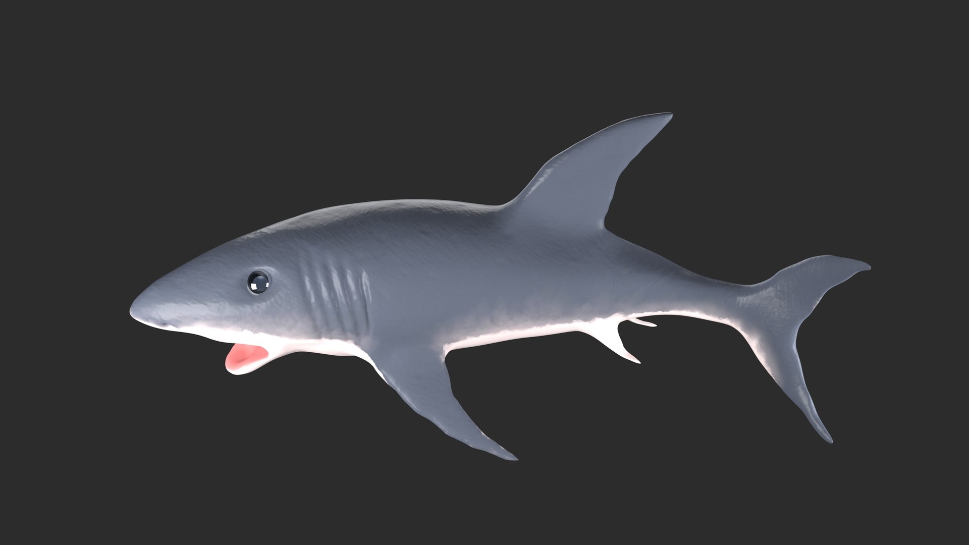 3D Toothless Shark Model - TurboSquid 1609603