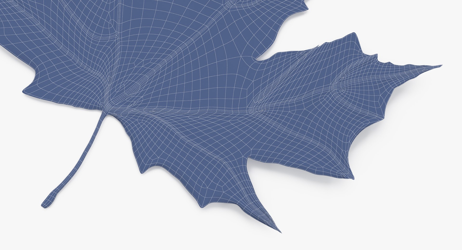 3d Red Maple Leaf Model