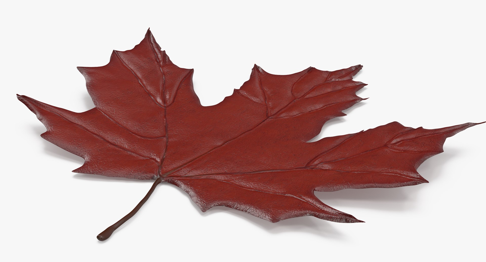 3d Red Maple Leaf Model
