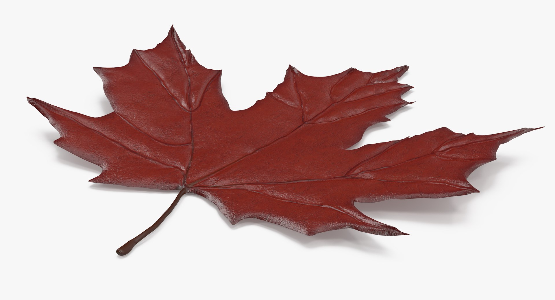 3d Red Maple Leaf Model