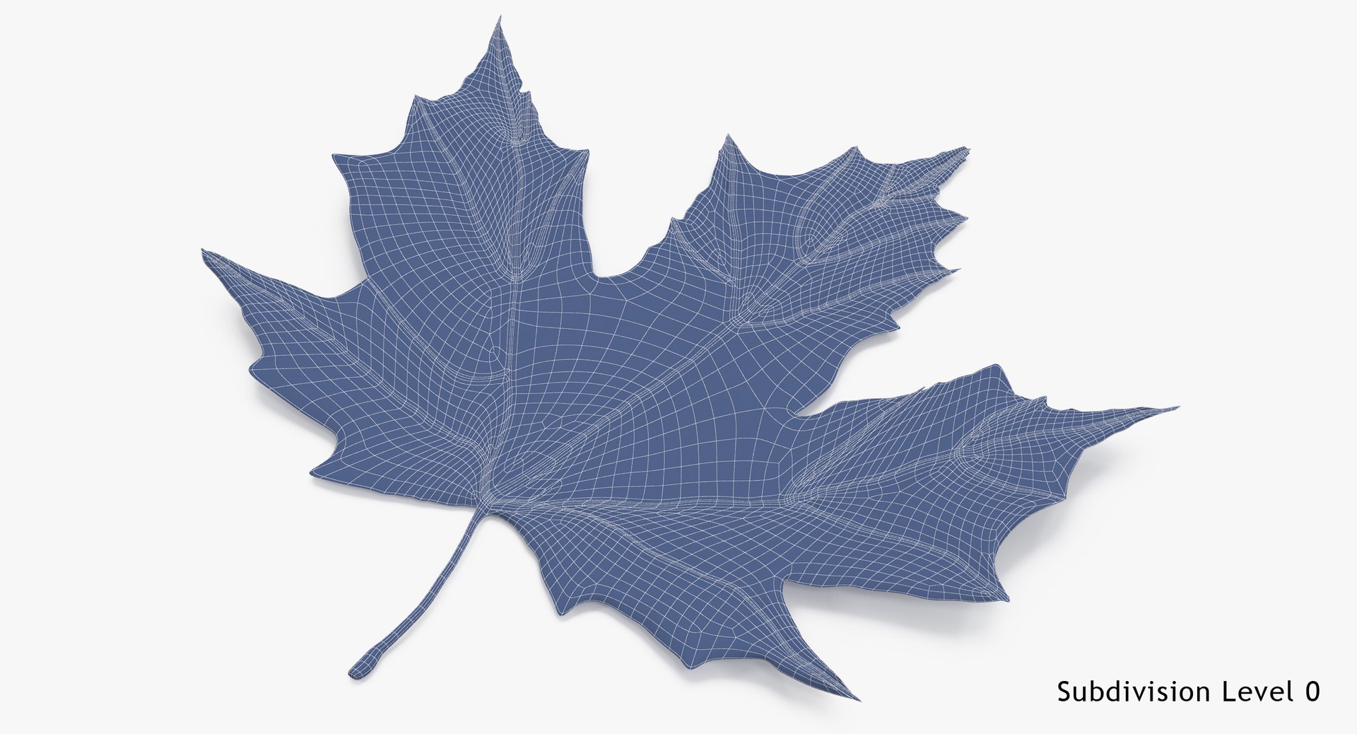 3d Red Maple Leaf Model