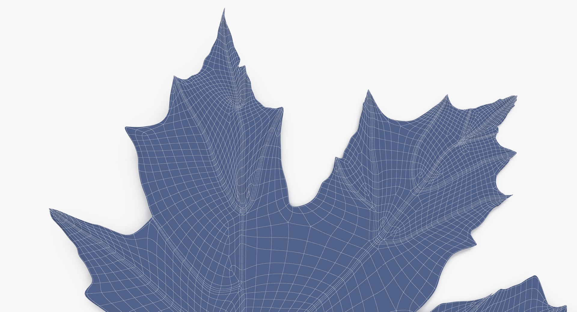 3d Red Maple Leaf Model