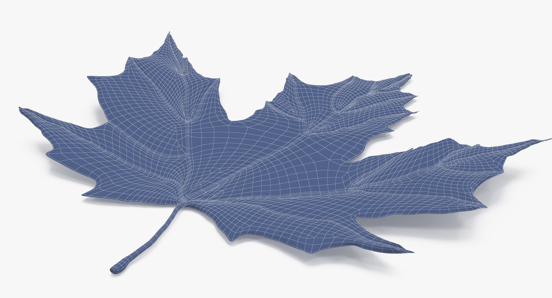 3d red maple leaf model