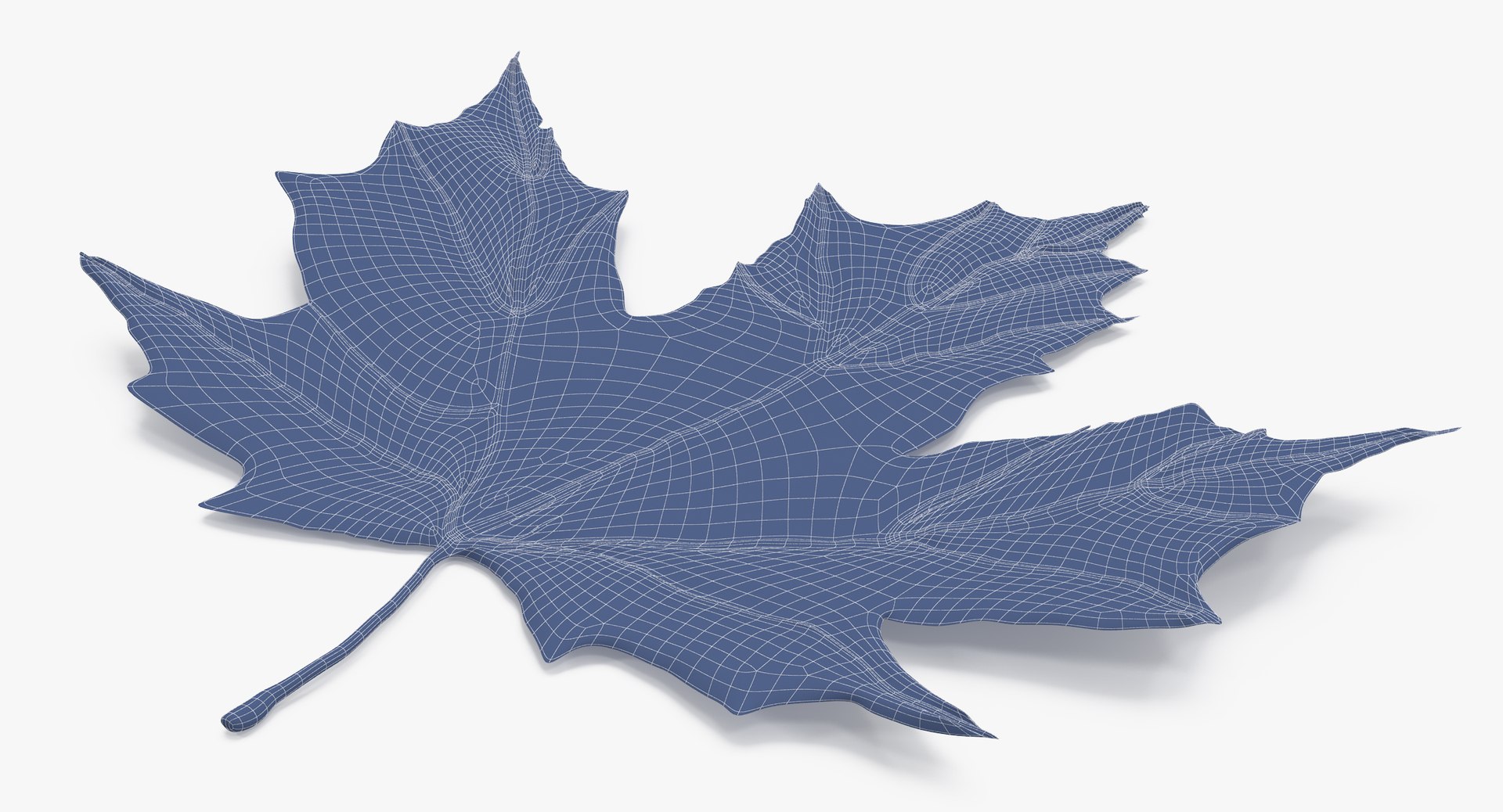 3d red maple leaf model