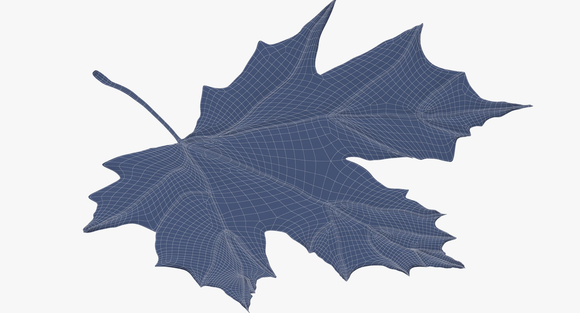 3d red maple leaf model
