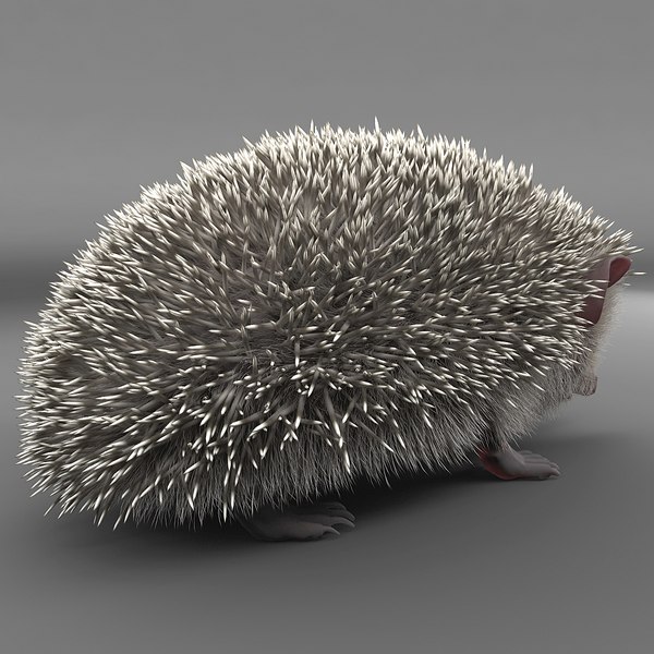 hedgehog modelled 3d model