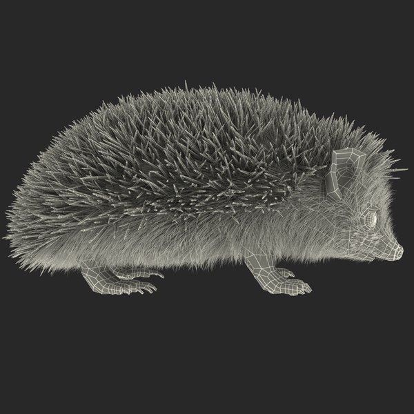 hedgehog modelled 3d model