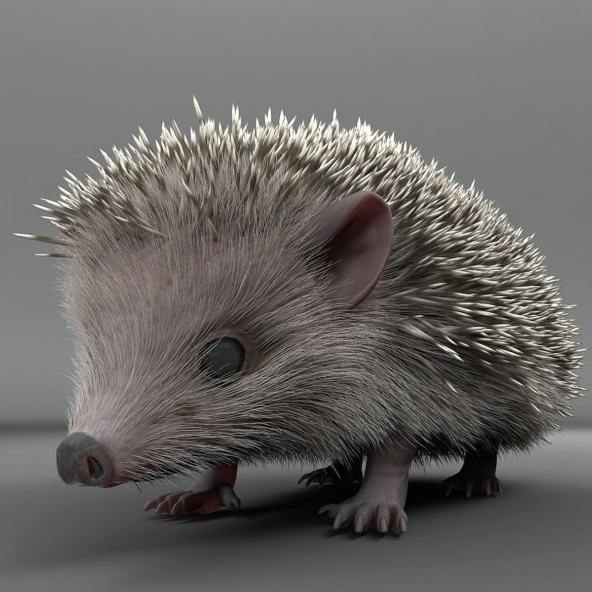 hedgehog modelled 3d model