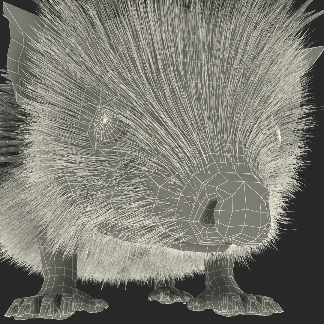 hedgehog modelled 3d model