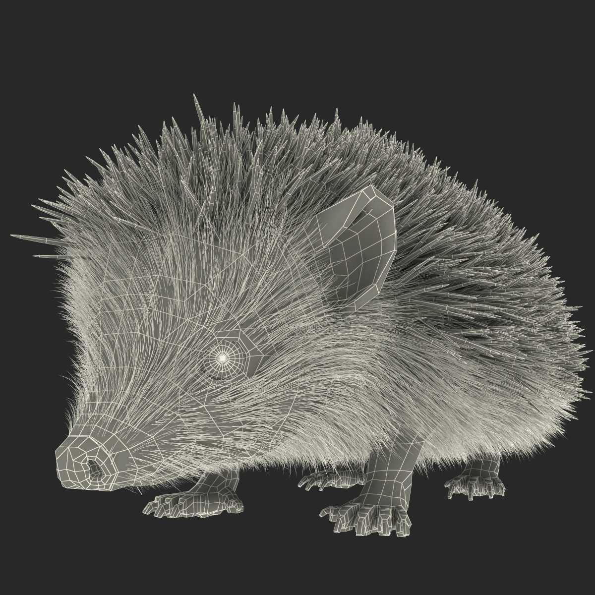hedgehog modelled 3d model
