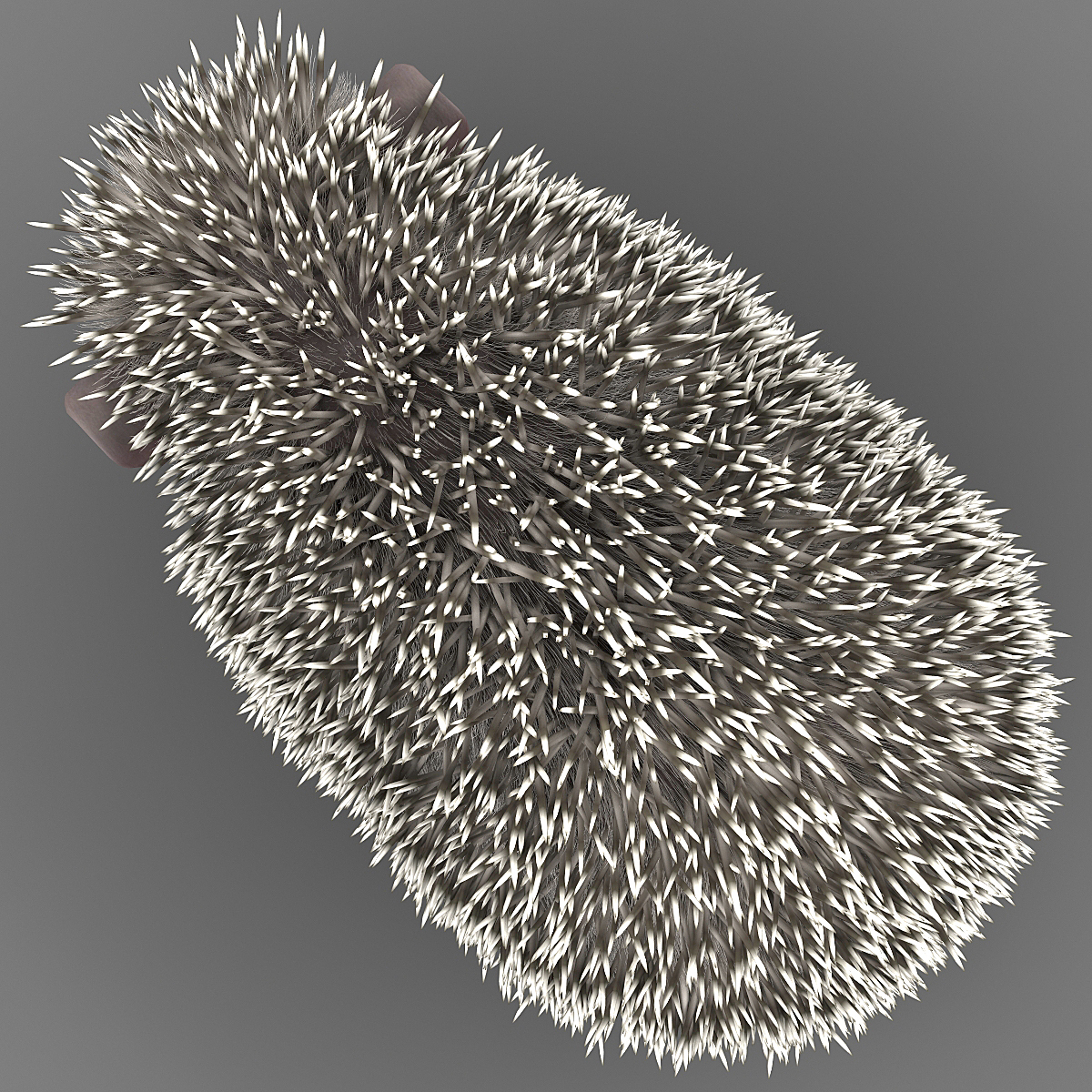 hedgehog modelled 3d model
