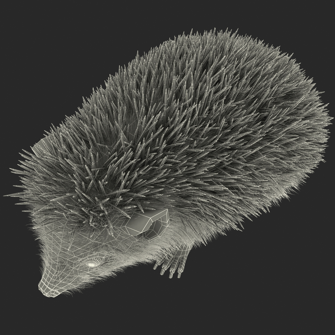 hedgehog modelled 3d model