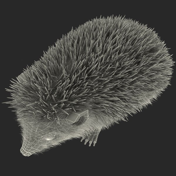 hedgehog modelled 3d model