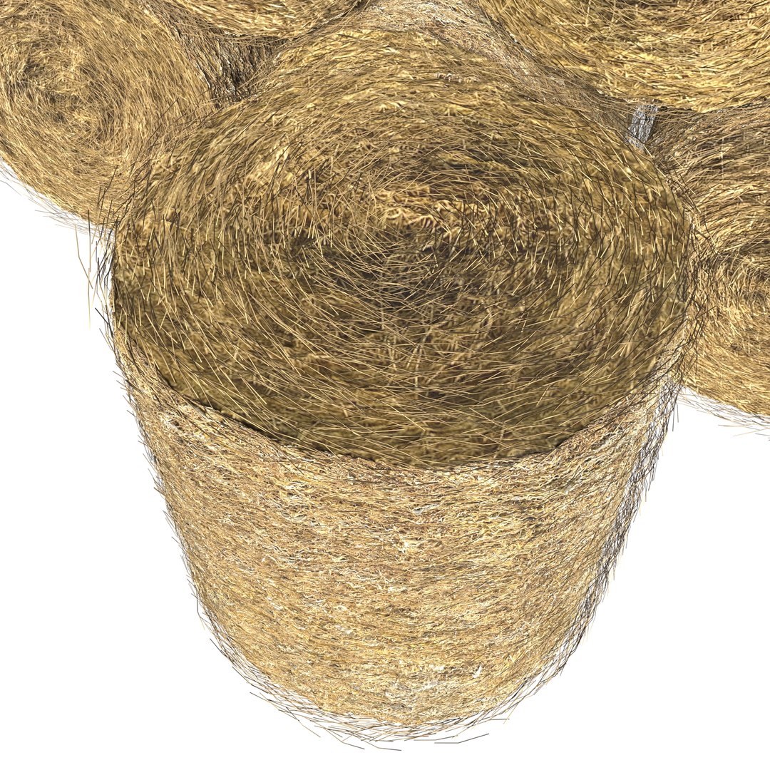 3D Roll Straw Hay Model - TurboSquid 1577941