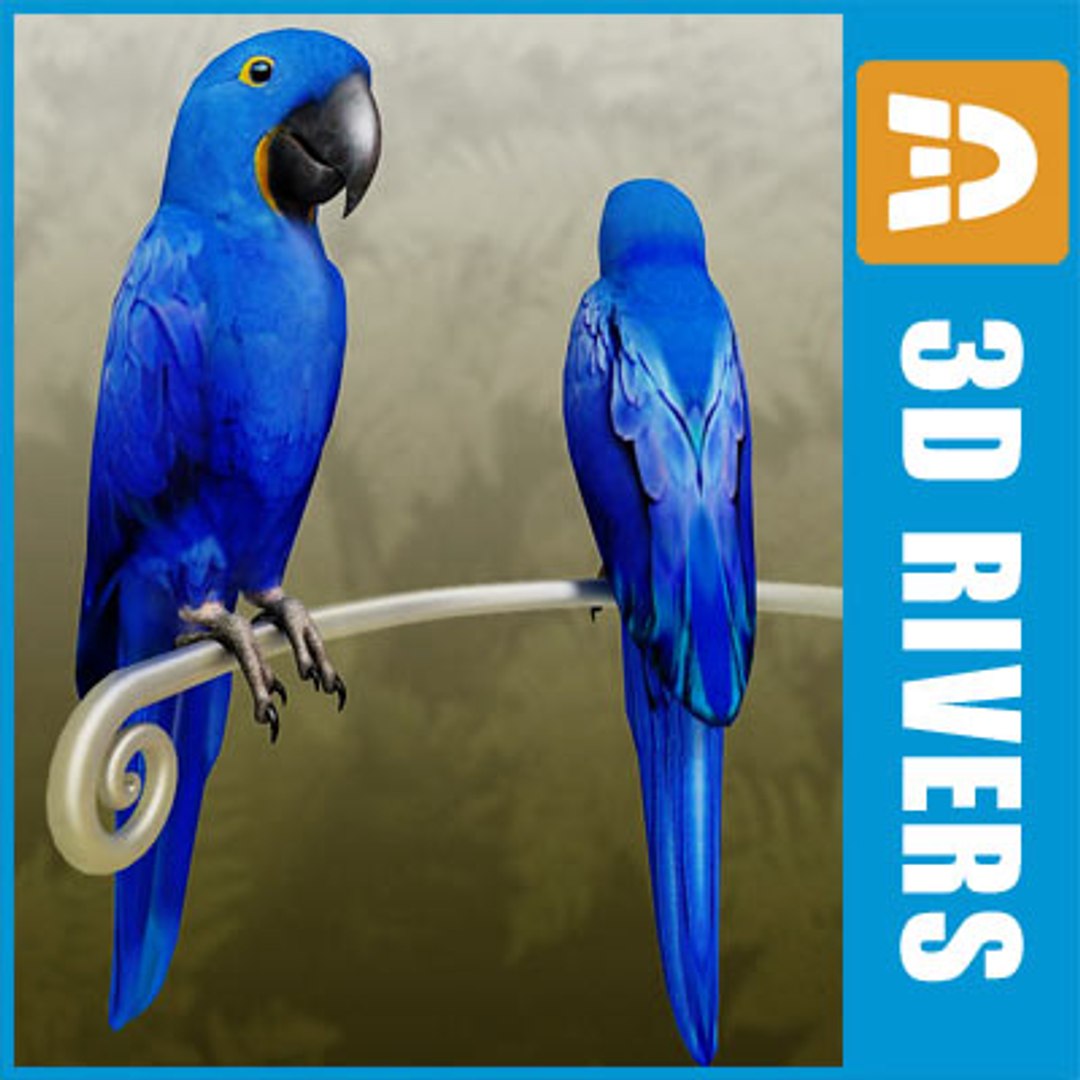 3ds Max Blue Parrot Birds